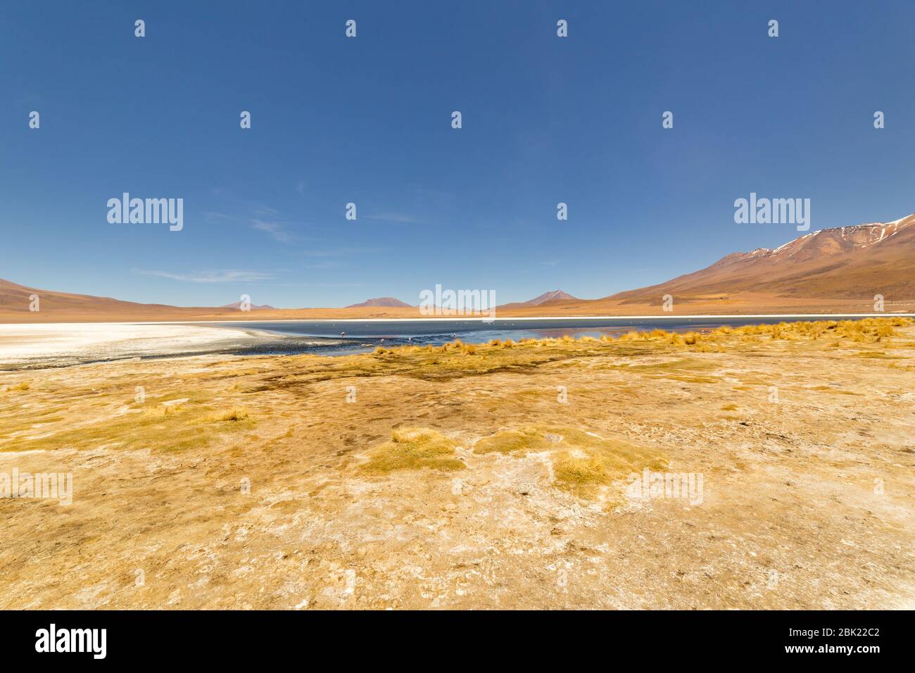 Altipiano de bolivia hi-res stock photography and images - Alamy