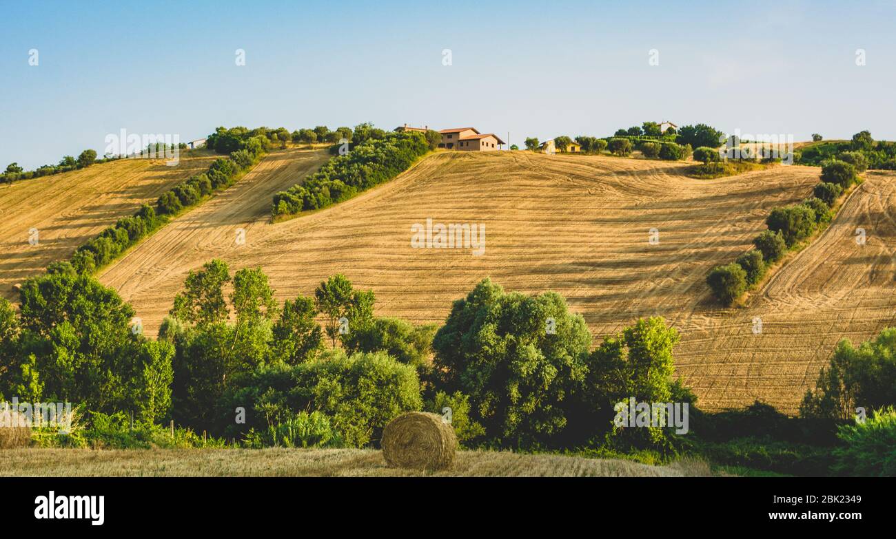 rural landscape in the Marche region in Italy near Fermo. Summer ...