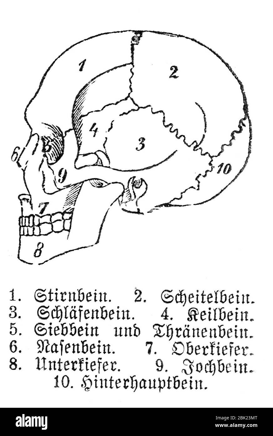 German legend hi-res stock photography and images - Alamy