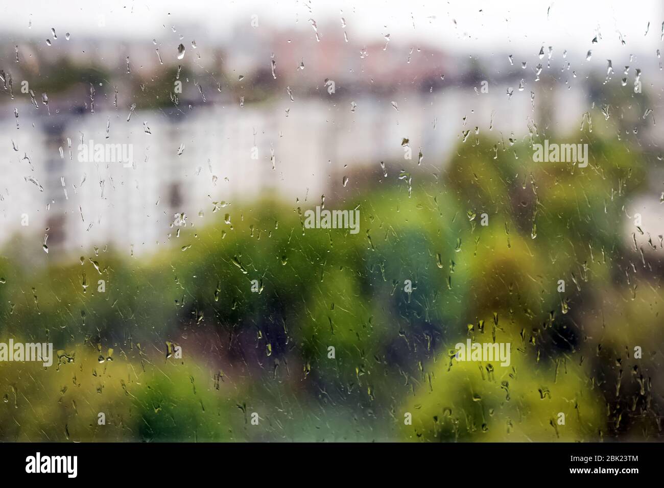 Spring Rain Wallpaper Hd Widescreen
