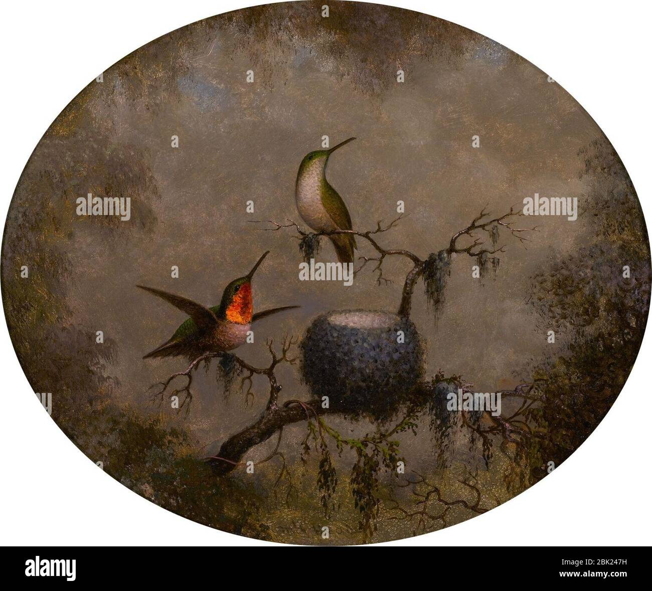 Hummingbirds and their nest-Martin Johnson Heade-1863 Stock Photo - Alamy