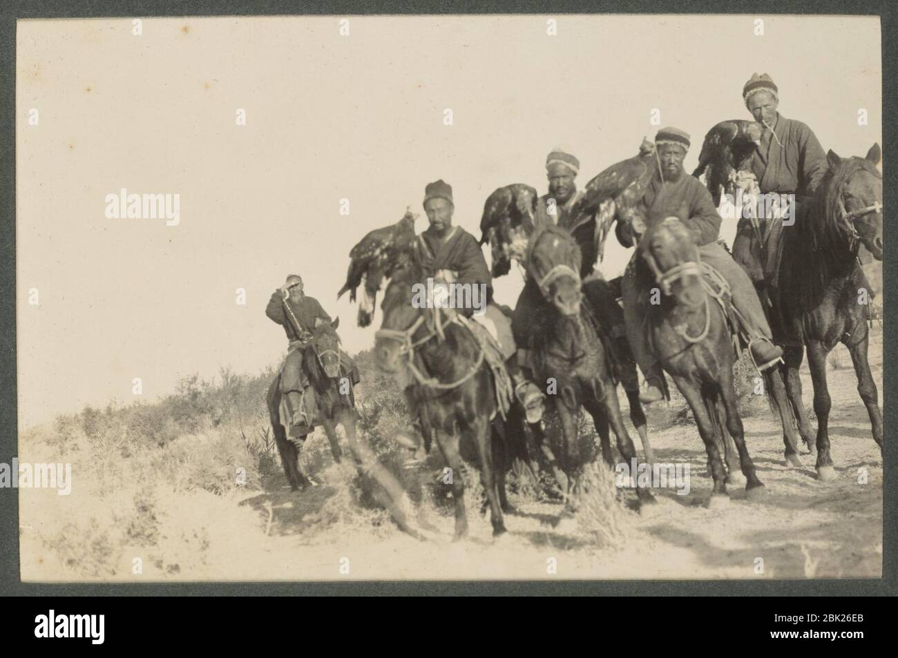 Hunting Eagles of Merkit Stock Photo - Alamy