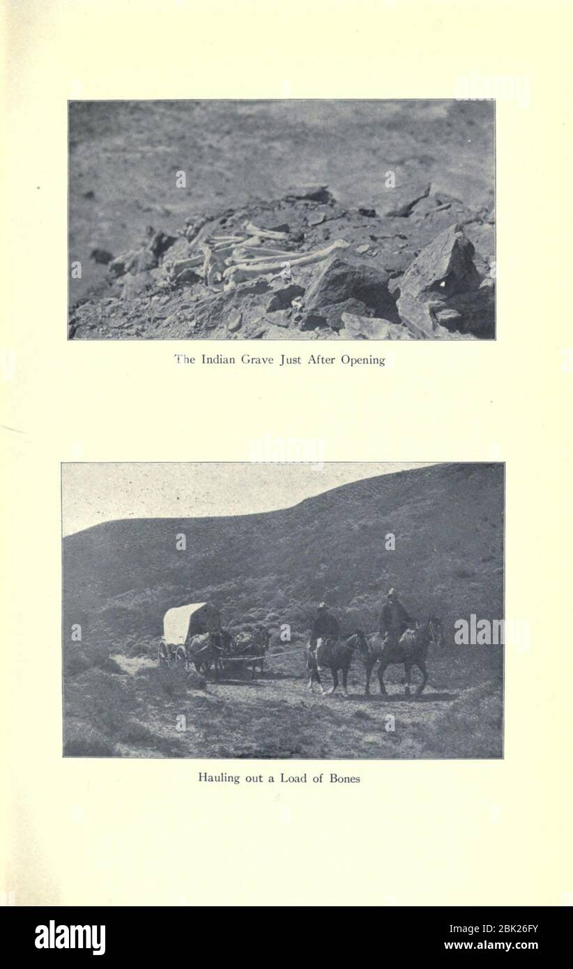 Hunting extinct animals in the Patagonian Pampas Stock Photo - Alamy