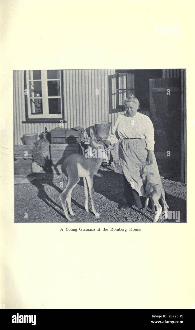 Hunting extinct animals in the Patagonian Pampas Stock Photo - Alamy