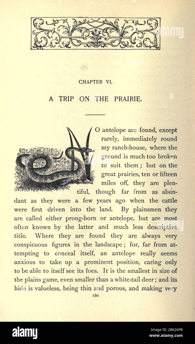 Ranchman hi-res stock photography and images - Alamy