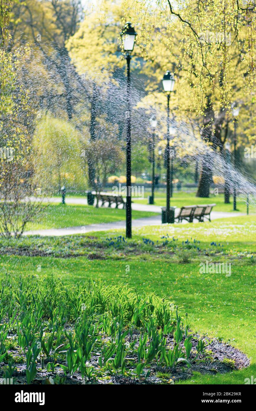 Vertical watering system hi-res stock photography and images - Alamy