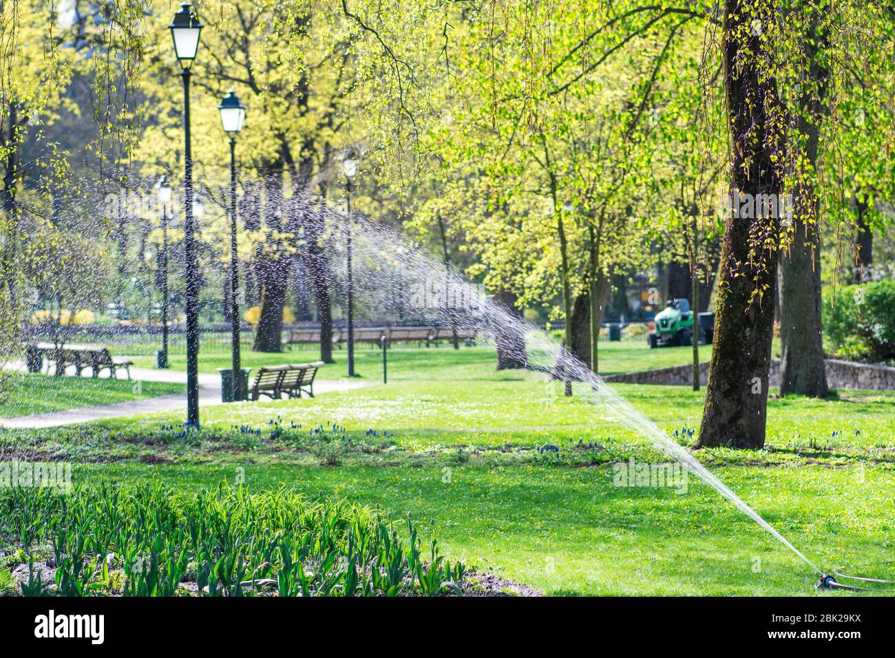 Lawn sprinkler watering garden flowers hi-res stock photography and ...