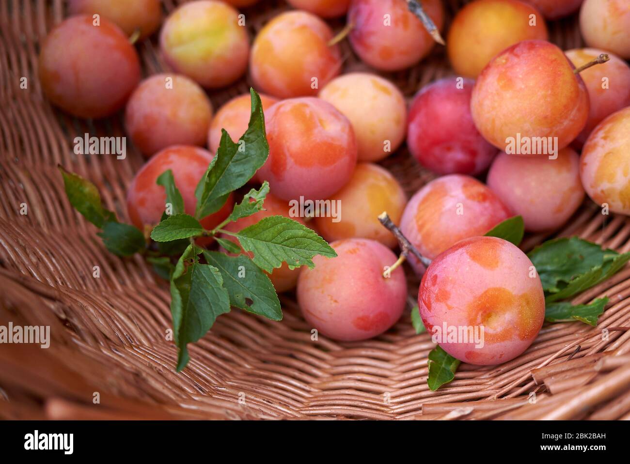 Chinese plums hi-res stock photography and images - Alamy