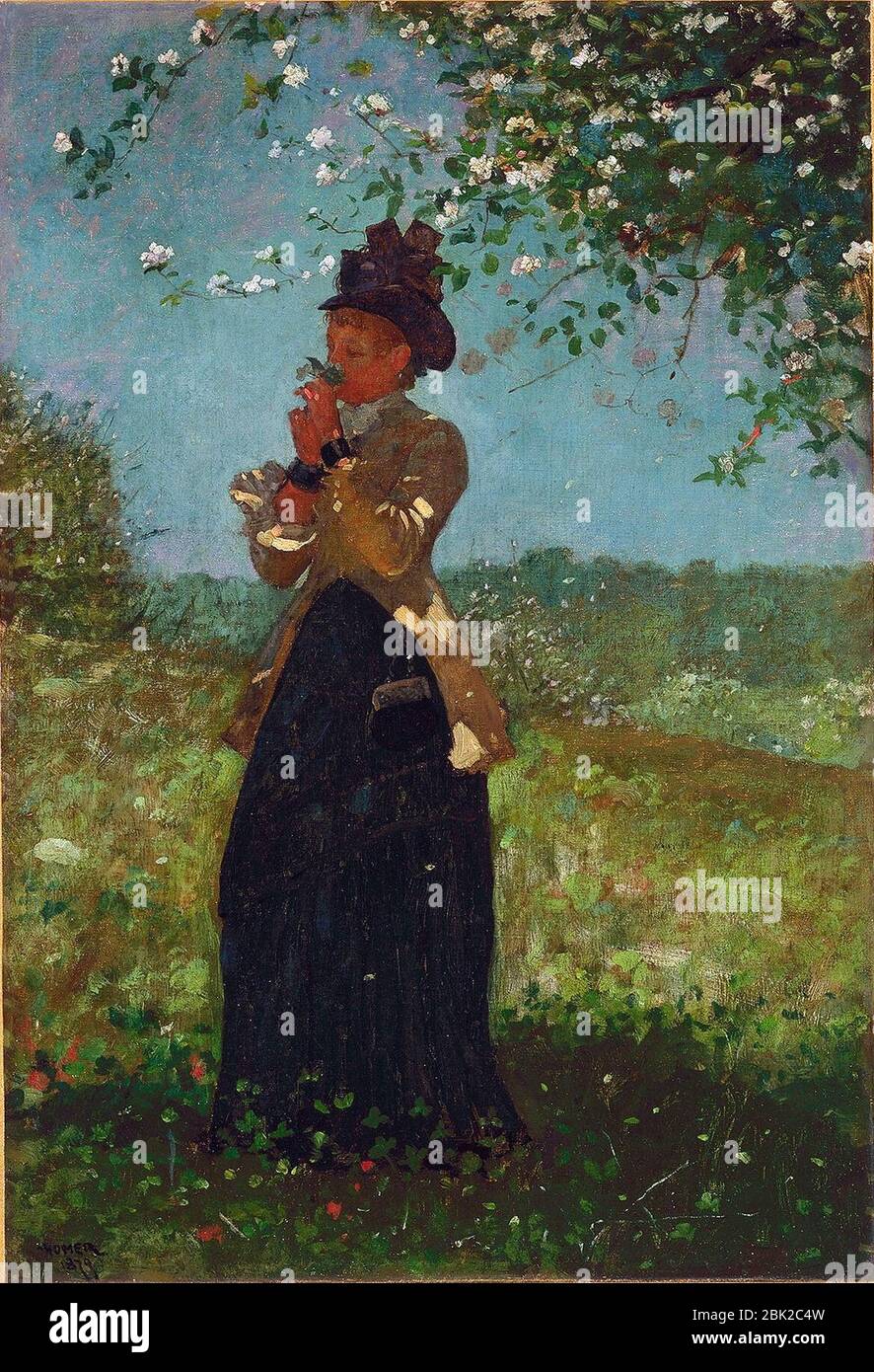 The Yellow Jacket by Winslow Homer Stock Photo - Alamy