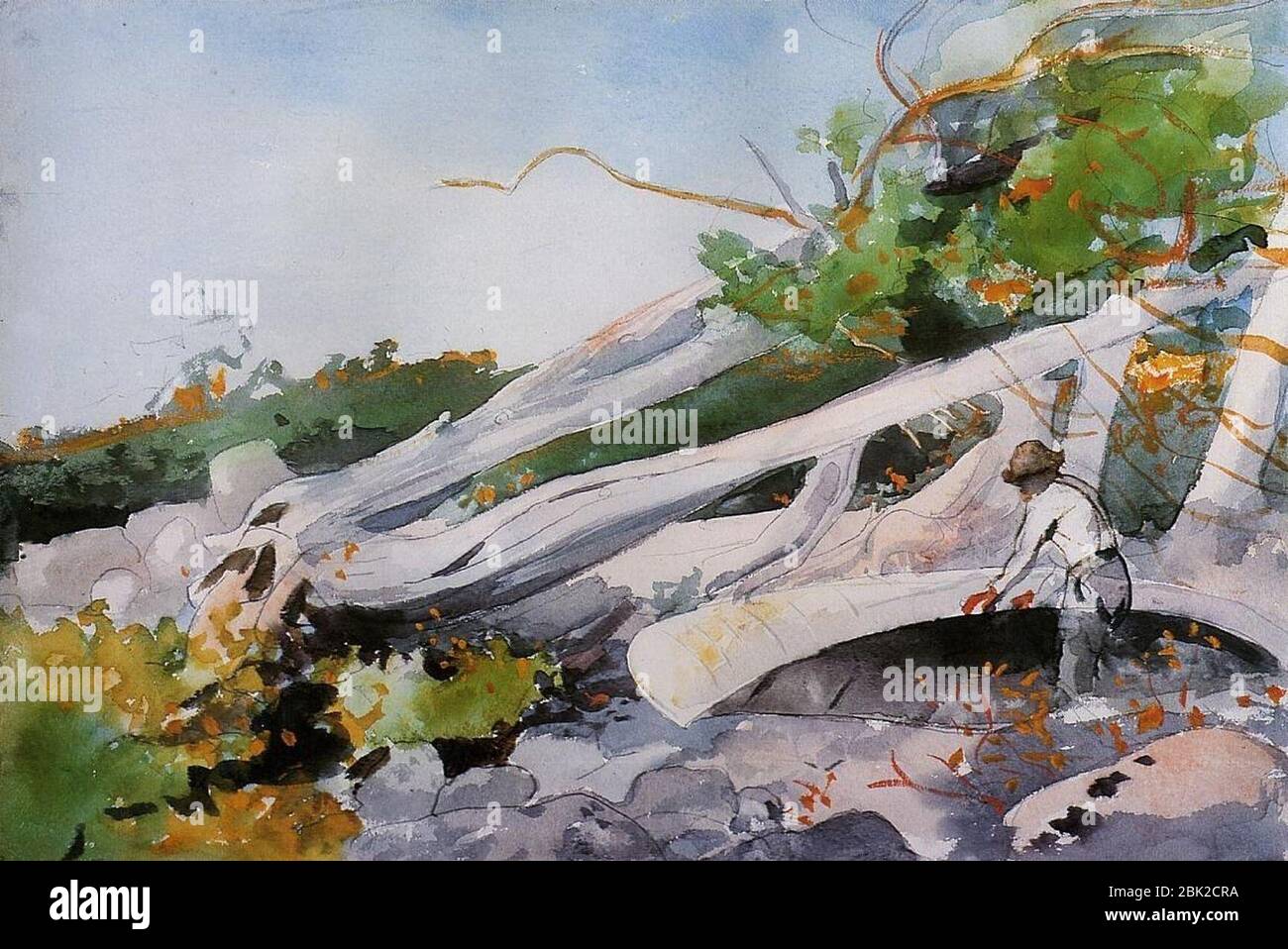 Winslow Homer - Guide Hiding a Canoe under a Windfalll (1897 Stock ...