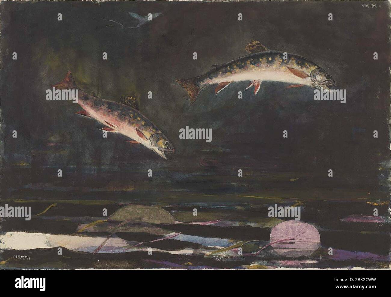 Winslow Homer - Leaping Trout (1892 Stock Photo - Alamy