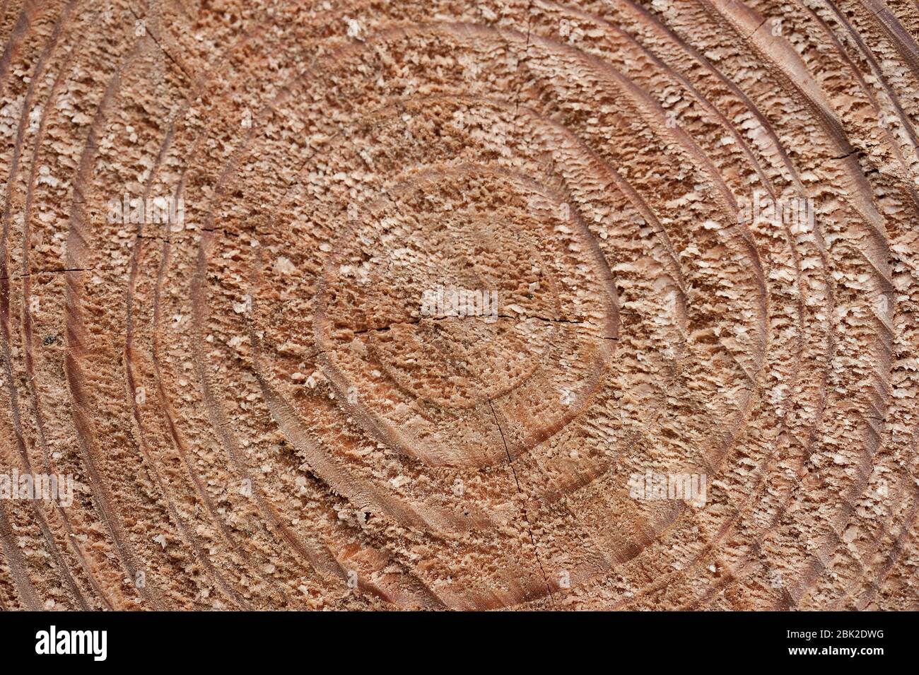 Saw timbers hi-res stock photography and images - Alamy