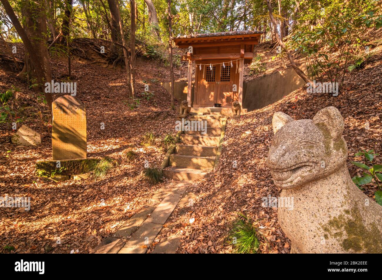 tokyo, japan - march 20 2020: Shinto shrine and fox stone statues in ...