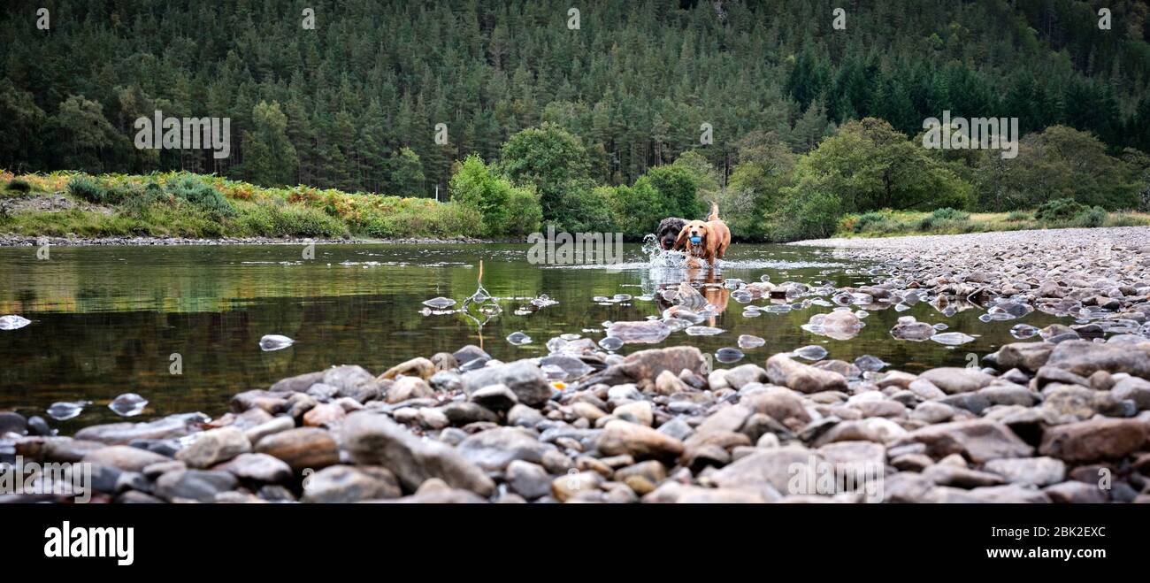 Muir of ord hi-res stock photography and images - Alamy