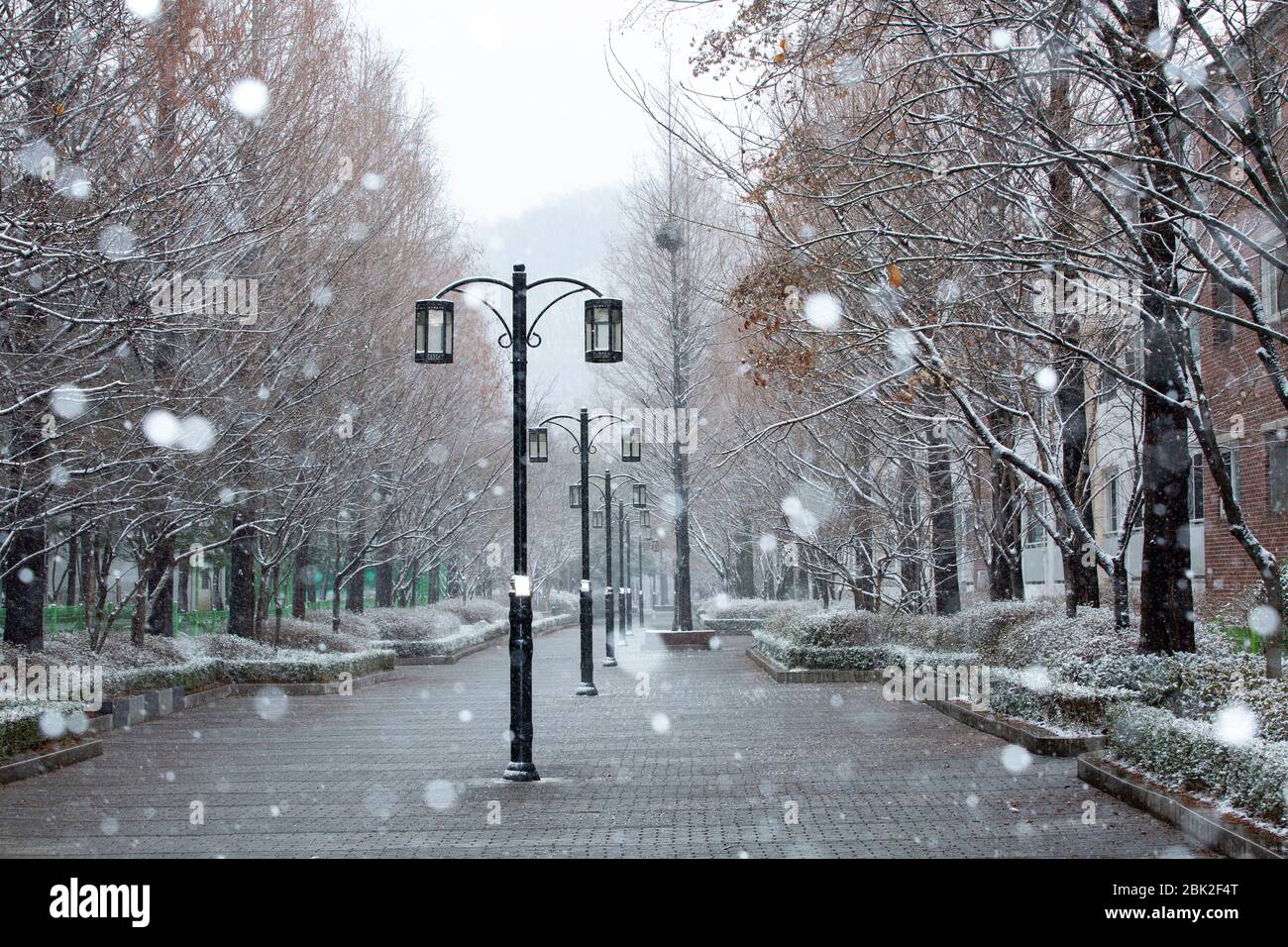 Bundang gu hi-res stock photography and images - Alamy