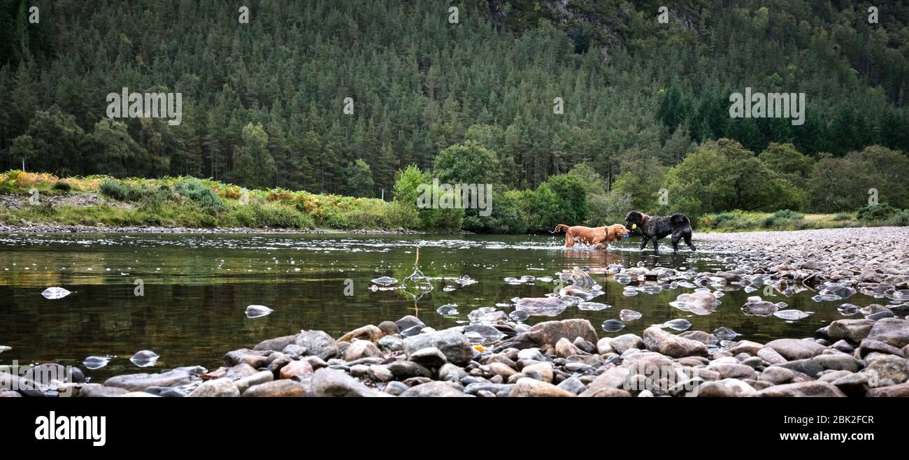 Muir of ord hi-res stock photography and images - Alamy