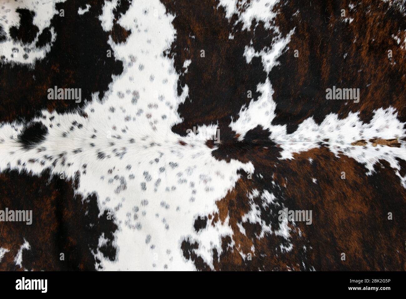 Cow texture hi-res stock photography and images - Alamy