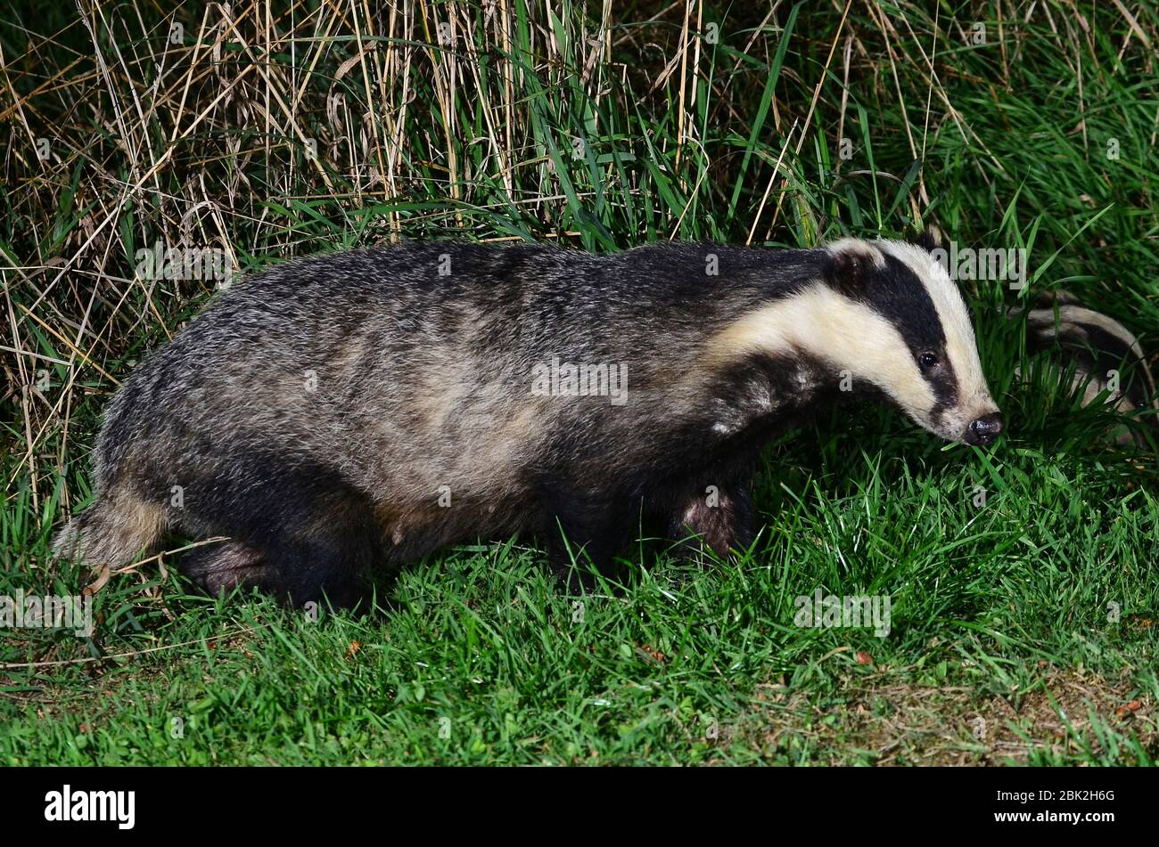 Time sett hi-res stock photography and images - Alamy