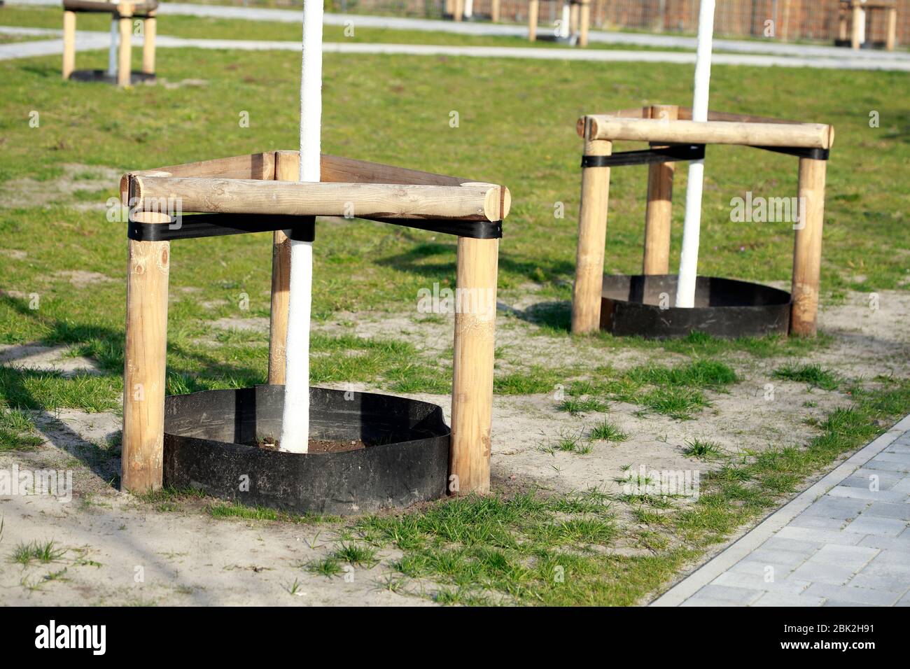 Wooden tree protection with trees on a footpath, Germany, Europe Stock ...