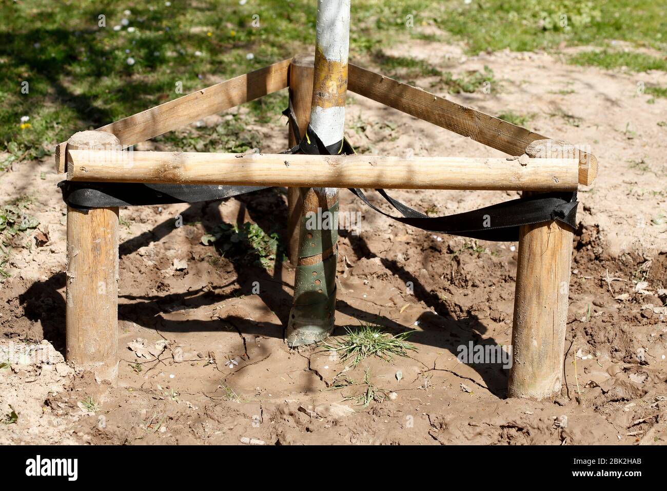 Tree protection hi-res stock photography and images - Alamy