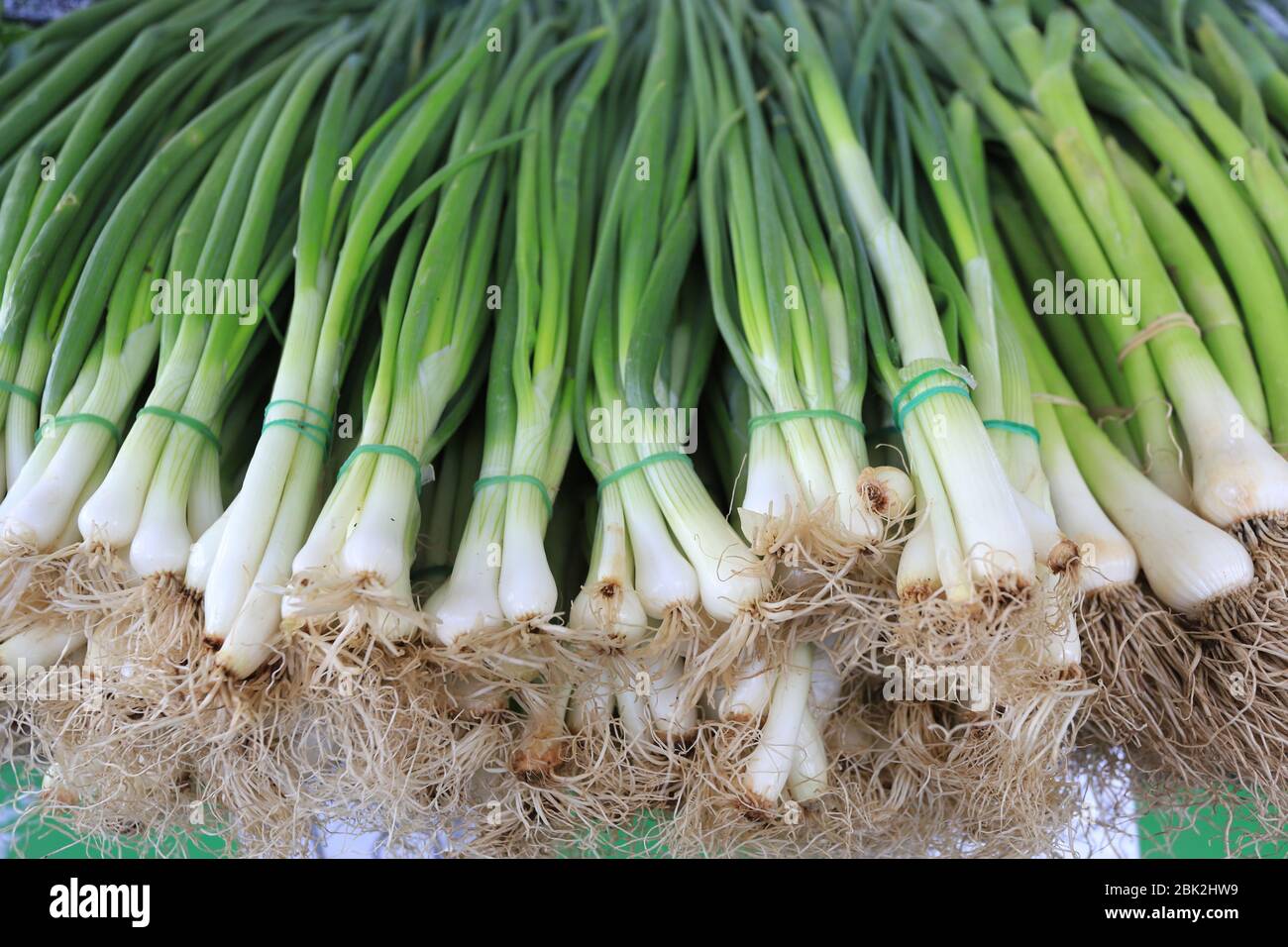 Fresh green onions as background. Spring onion pattern Stock Photo - Alamy