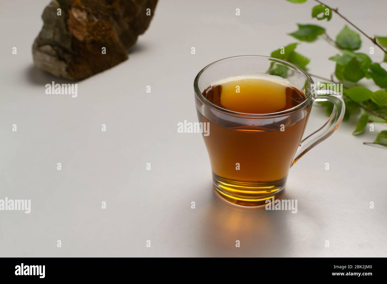 Cup with chaga tea and birch branches, mushroom on a white background ...