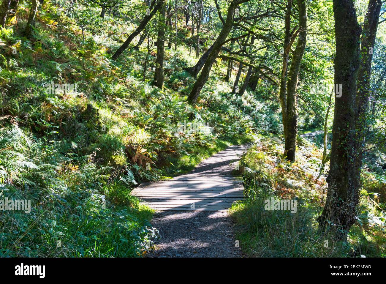 Loch Lomond, Inversnaid, Stirlingshire; trossachs National Park ...