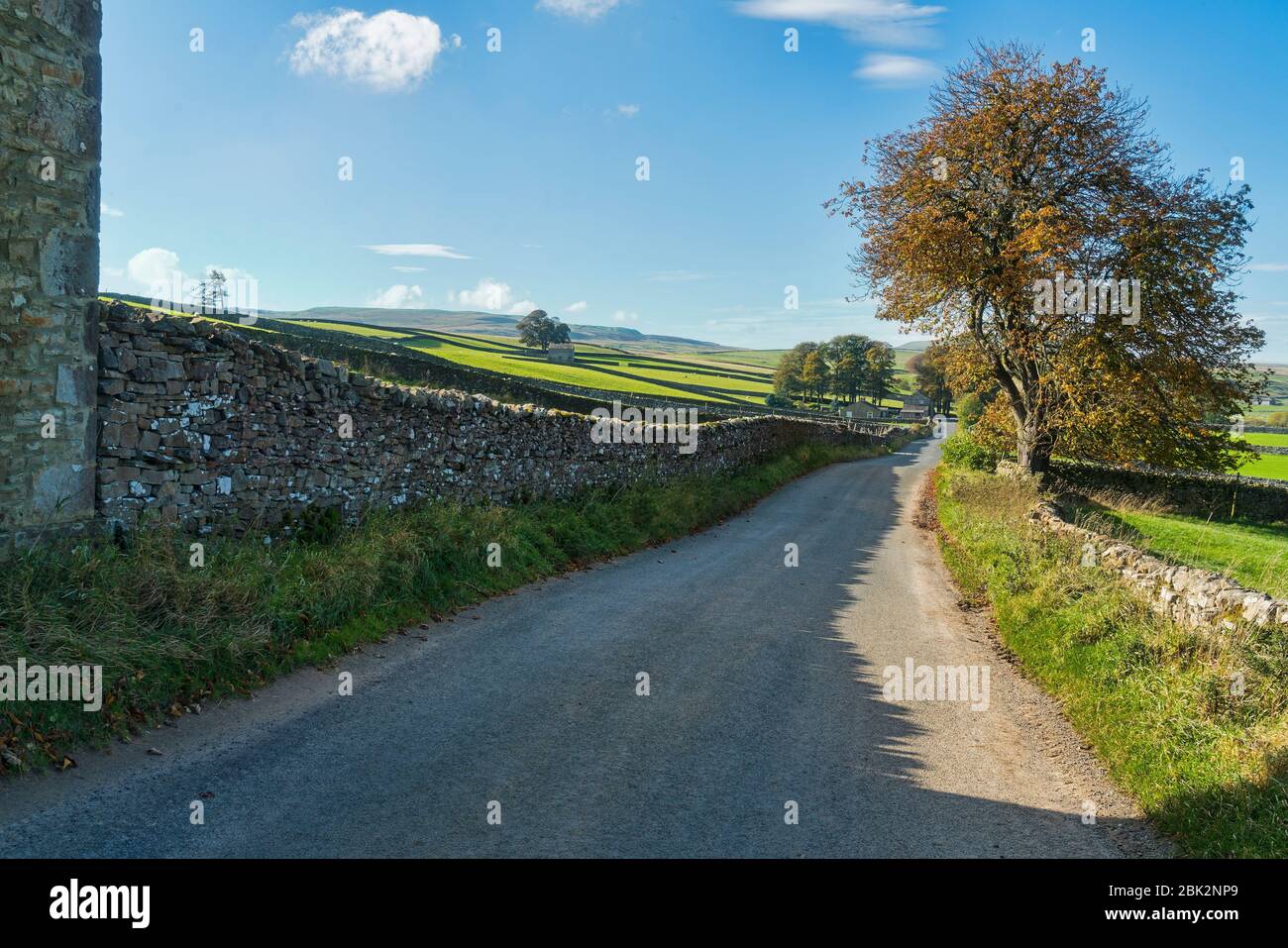 Wensleydale autumn colours, near Hawes village, Yorkshire, England, UK ...