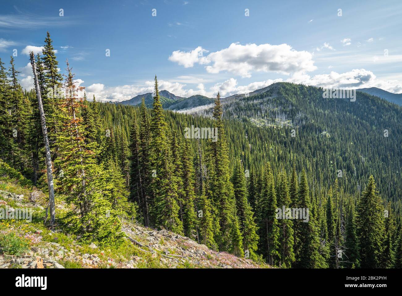 The Washington Section of the Pacific Crest Trail in the North Cascades ...