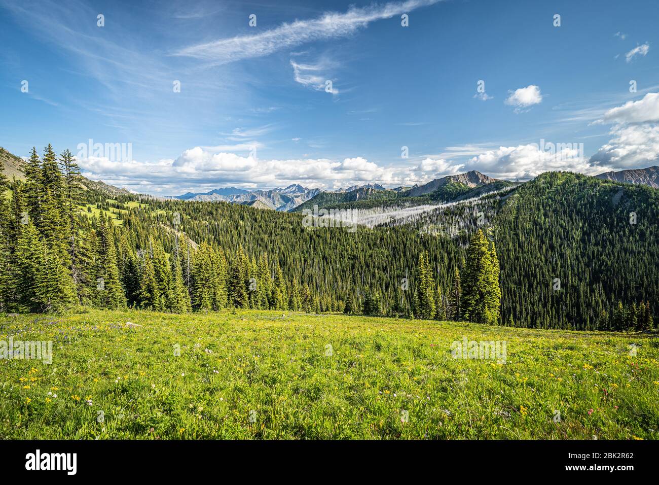 The Washington Section of the Pacific Crest Trail in the North Cascades ...