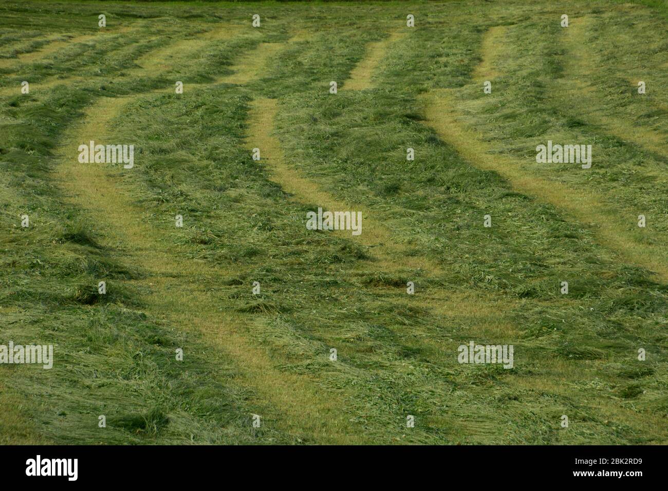 New mown hay hi-res stock photography and images - Alamy