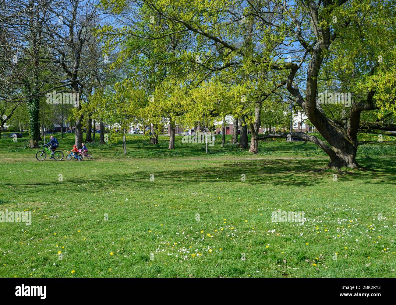 Spring on Worsley Green, Worsley, Salford, Manchester Stock Photo - Alamy