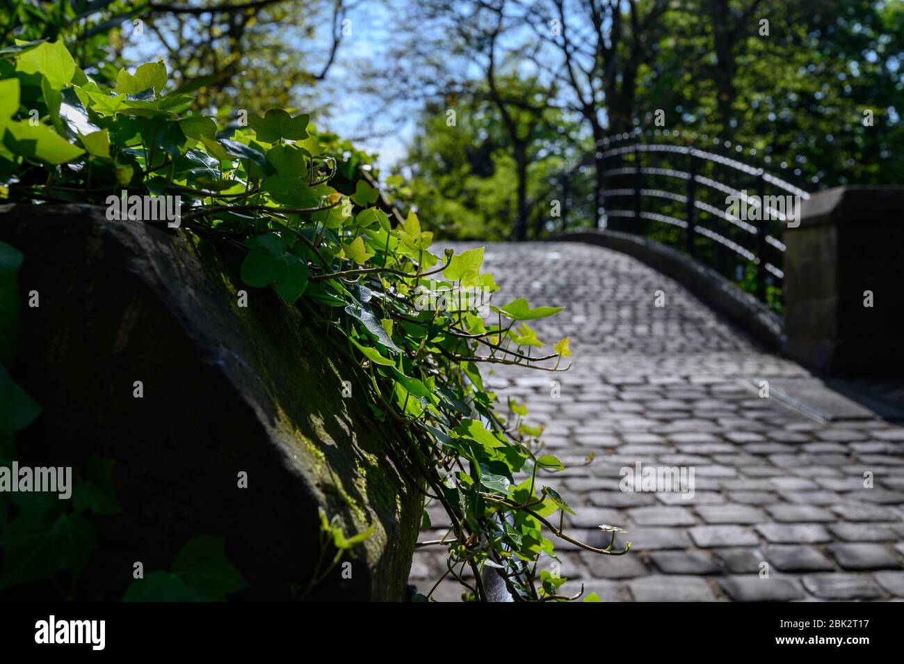 Humpback Bridge over the Bridgewater Canal, Worsley Green, Worsley ...