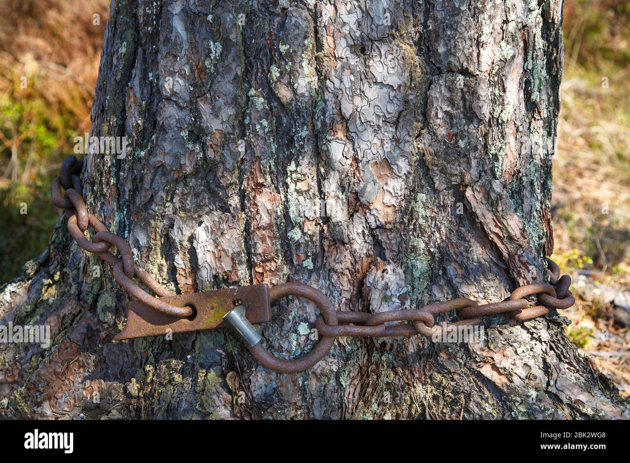 Locked chain hi-res stock photography and images - Alamy