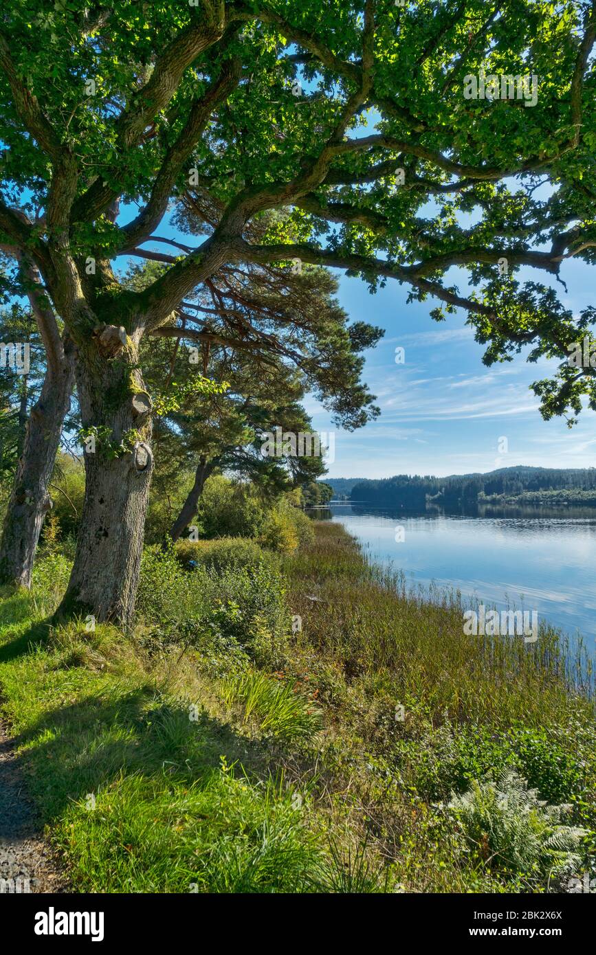 Loch Ard, near Kinlochard, Stirlingshire; trossachs National Park ...