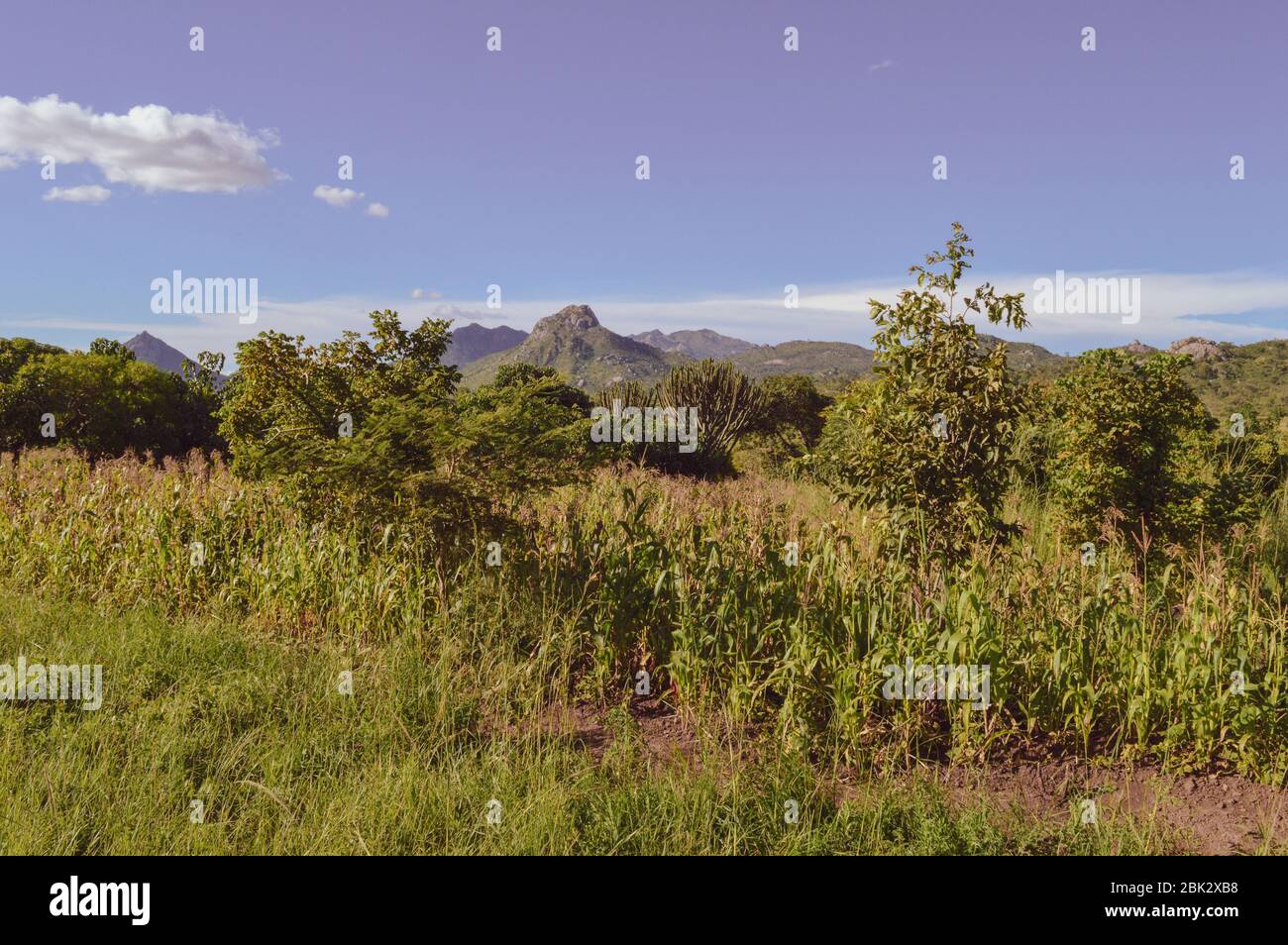 Stunning african scenery, green landscapes with mountains of different ...