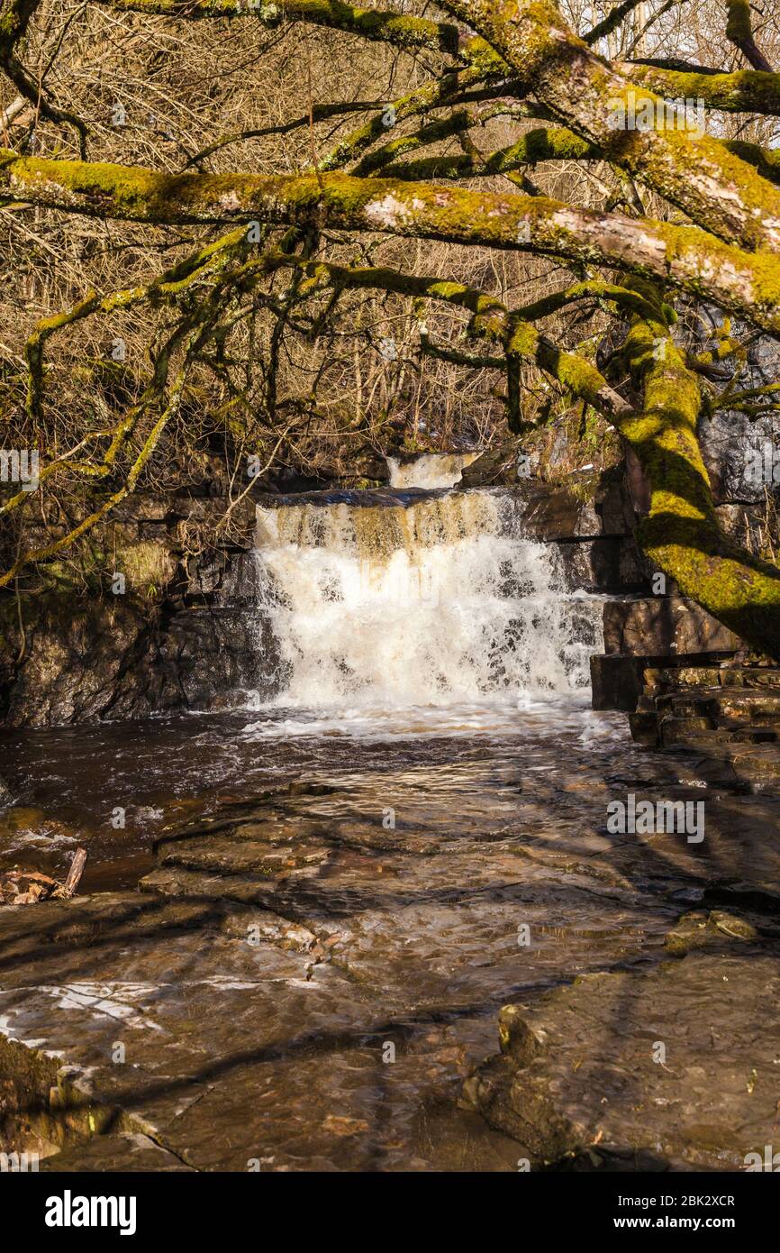 he Summerhill Force waterfalls at Bowlees in Teesdale,England,UK Stock ...