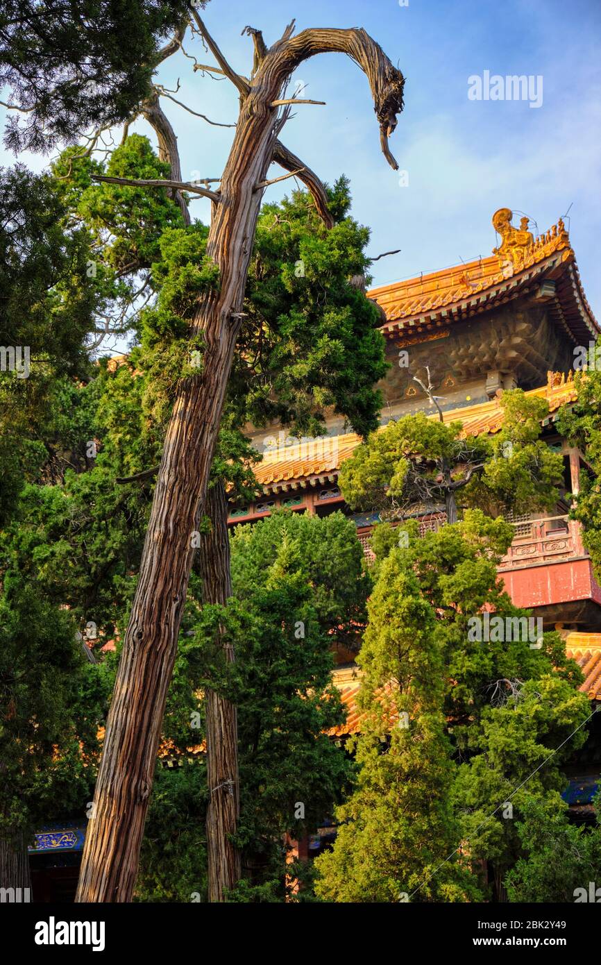 Confucius Temple in Qufu, Shandong province, China. UNESCO world ...
