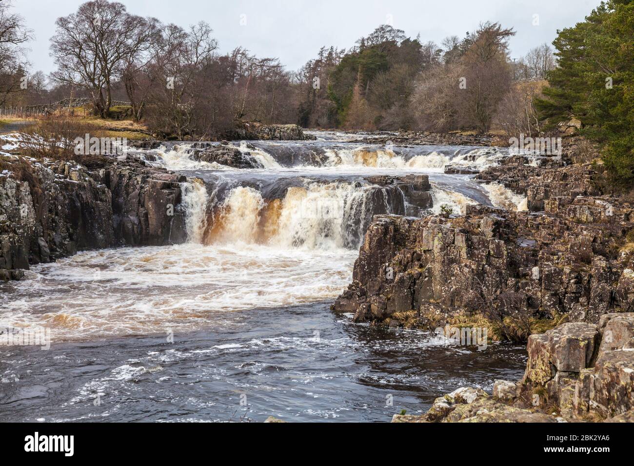 The waterfalls at Low Force,Teesdale,England,UK Stock Photo - Alamy