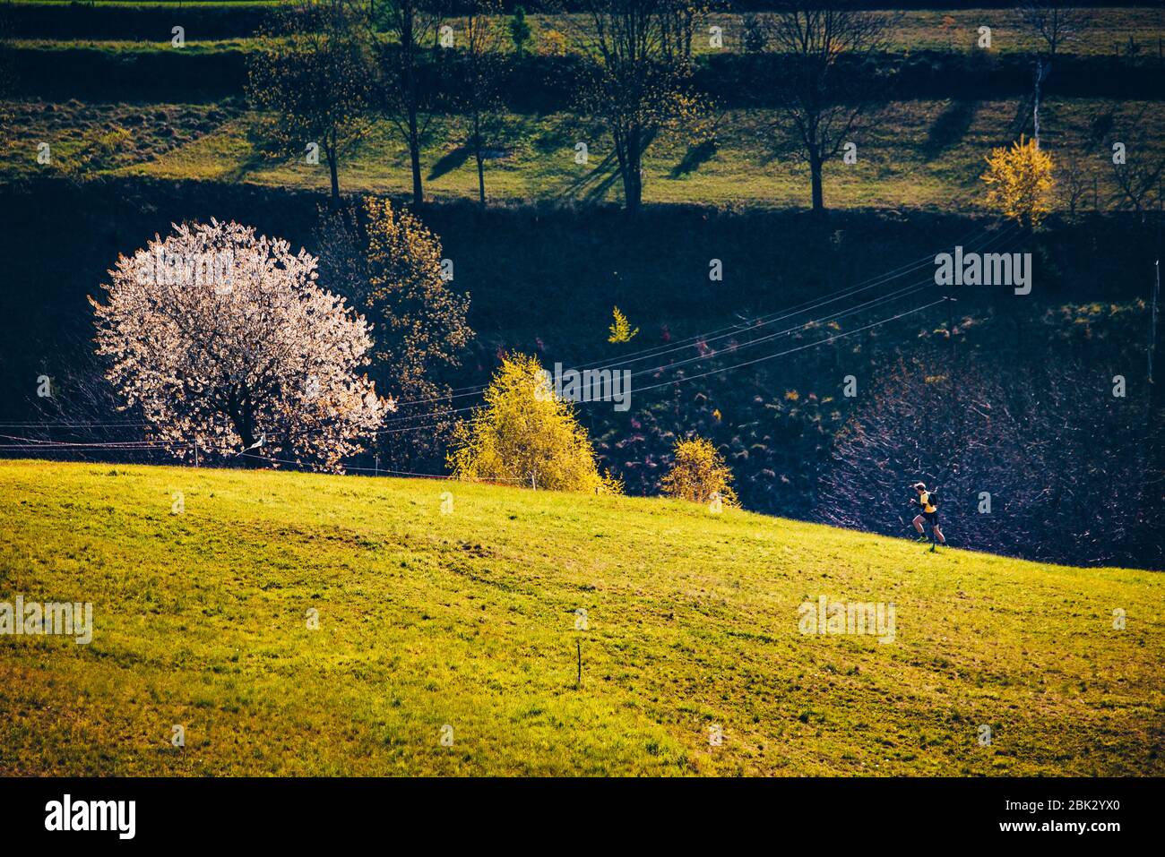 The most beautiful spring scenery hi-res stock photography and images ...