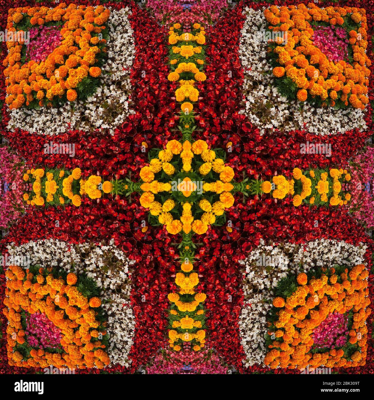 Bright contrast kaleidoscope, an element of seamless pattern of flowers ...