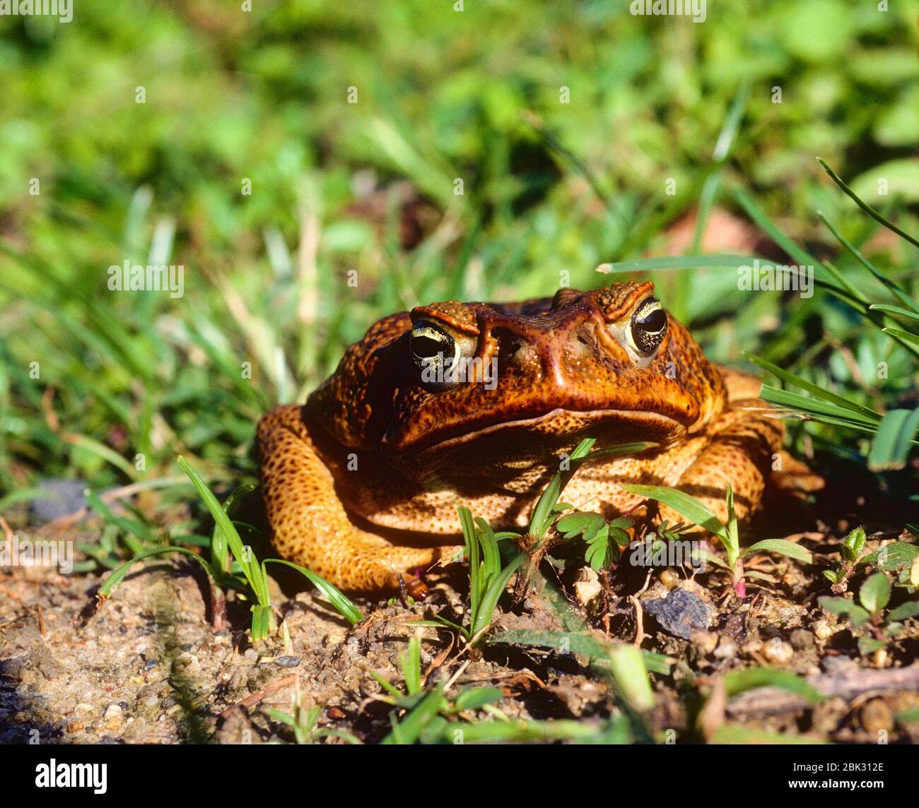 Atheron tableland hi-res stock photography and images - Alamy