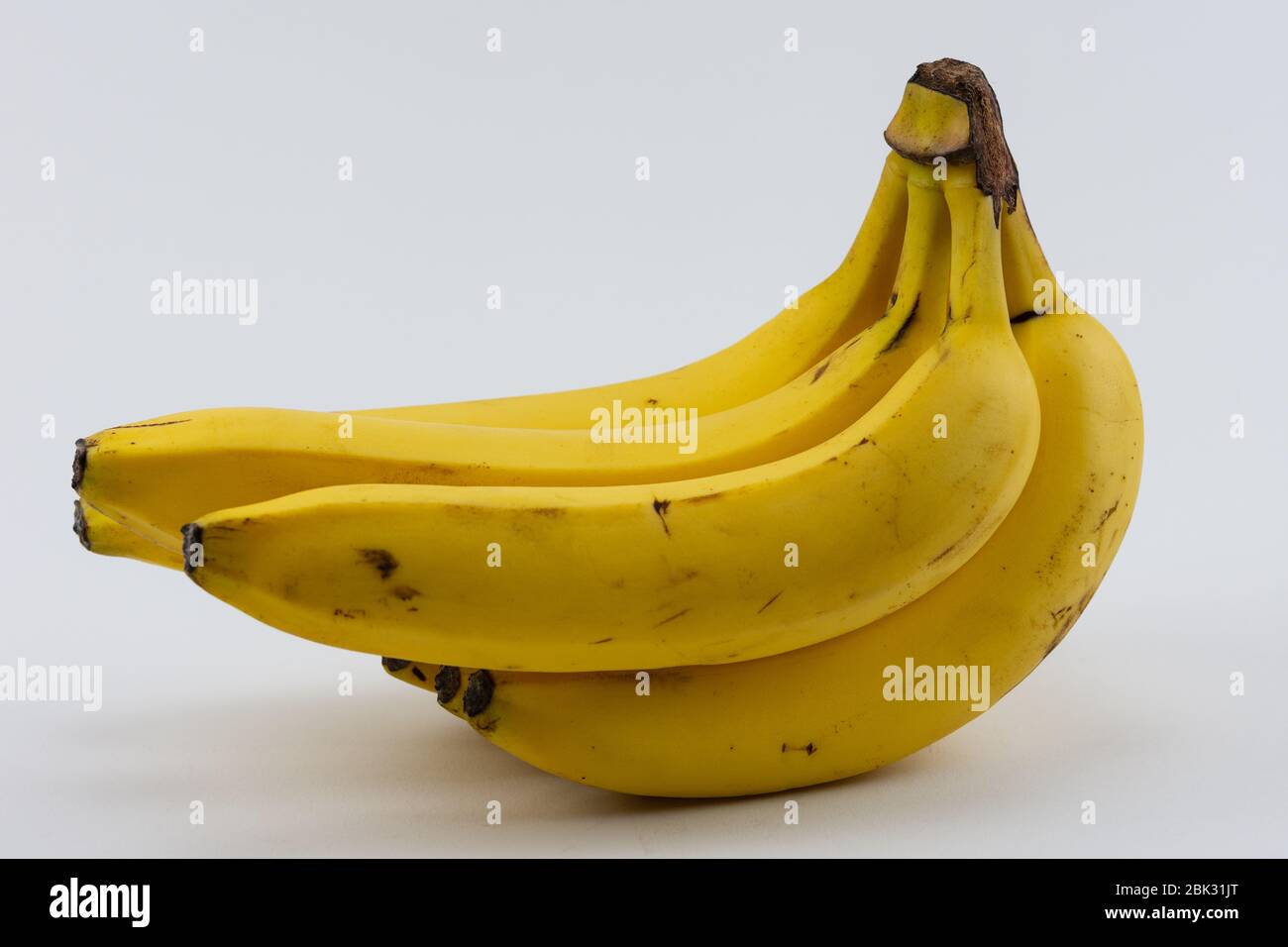 A perennial with six ripe bananas Stock Photo - Alamy