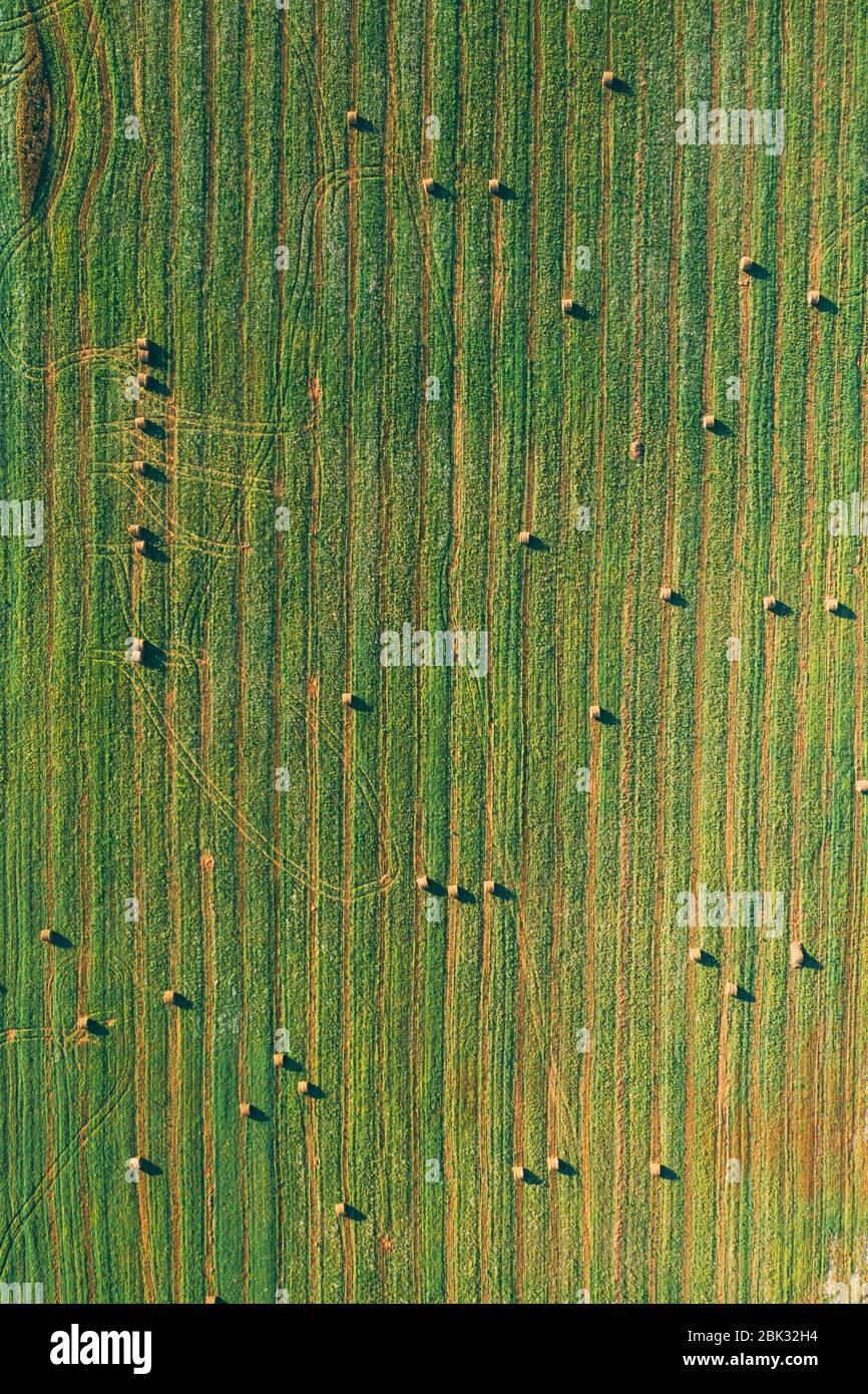 Aerial View of Summer Field Landscape With With Dry Hay Bales During ...