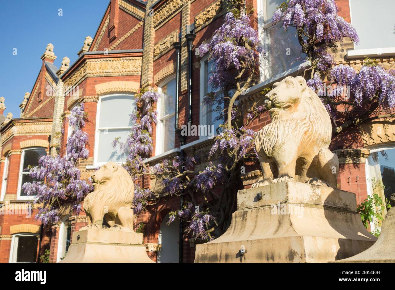 Lion statues on the gables and gateposts of Wisteria clad Lion Houses ...