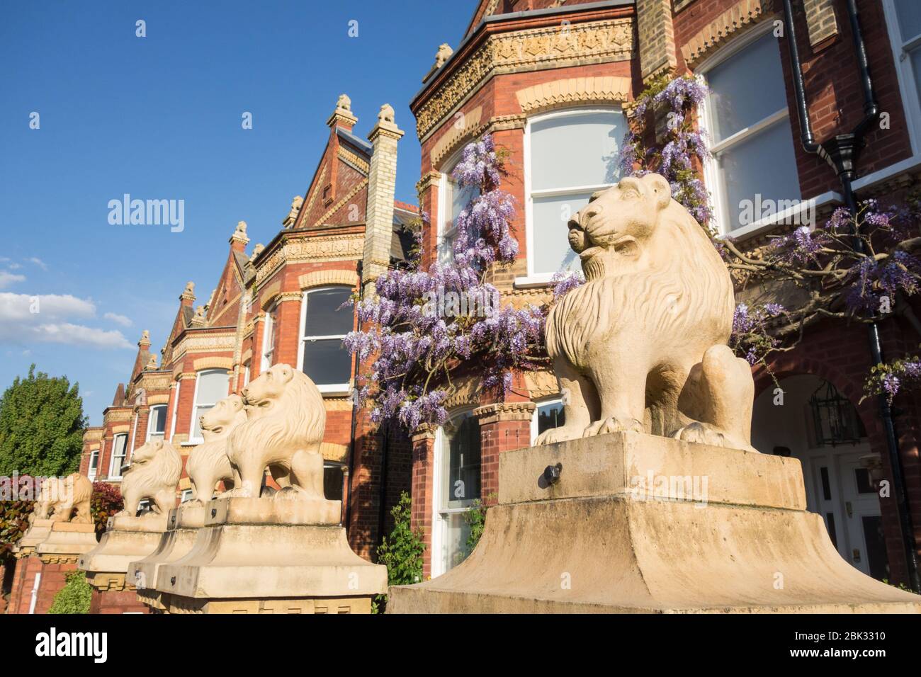 Lion statues on the gables and gateposts of Wisteria clad Lion Houses ...