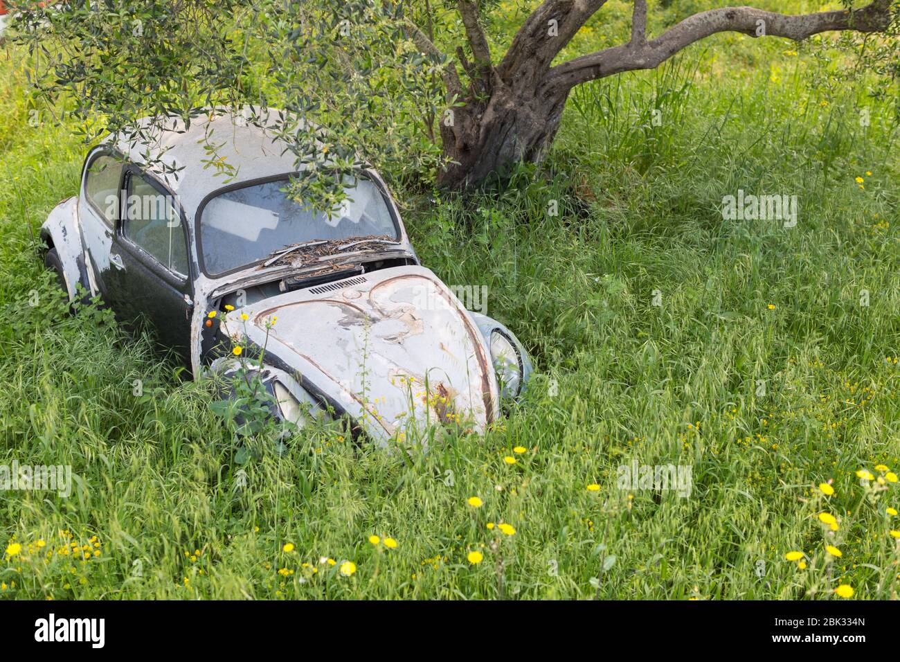 Abandoned mini car hi-res stock photography and images - Alamy