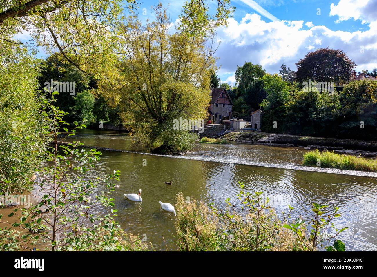 The River Teme and Old mill buildings viewed from Ludford Bridge ...