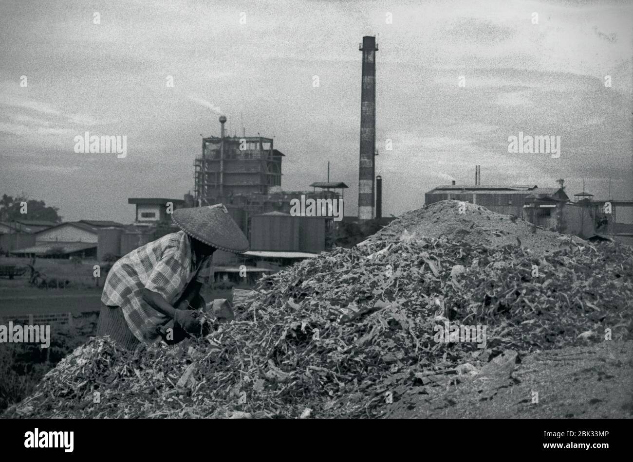 Unidentified woman working on a landfill site, with a paper mill ...