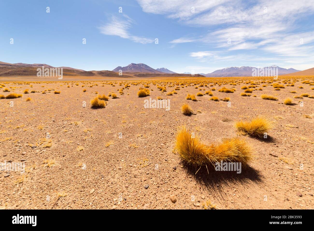 Stunning panoramic view of famous wild Siloli Desert. Beautiful ...